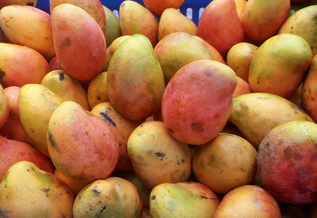 El mango dominicano llega hasta los rincones más refrescantes de la ...