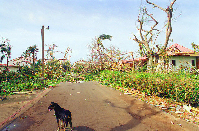 Memorias del Huracán George... 15 años después | Casa de Campo Living