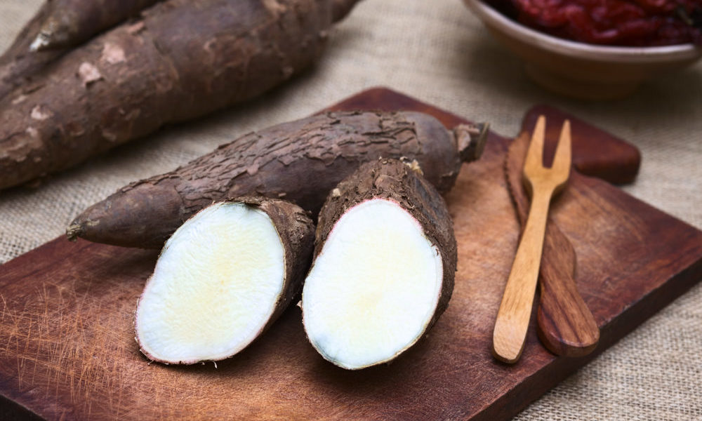 10 things you might not know about Cassava