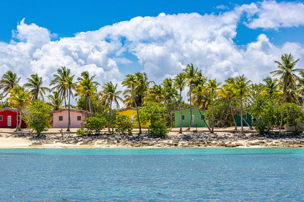 Conozca la isla Catalina a través de las excursiones de Casa de Campo ...